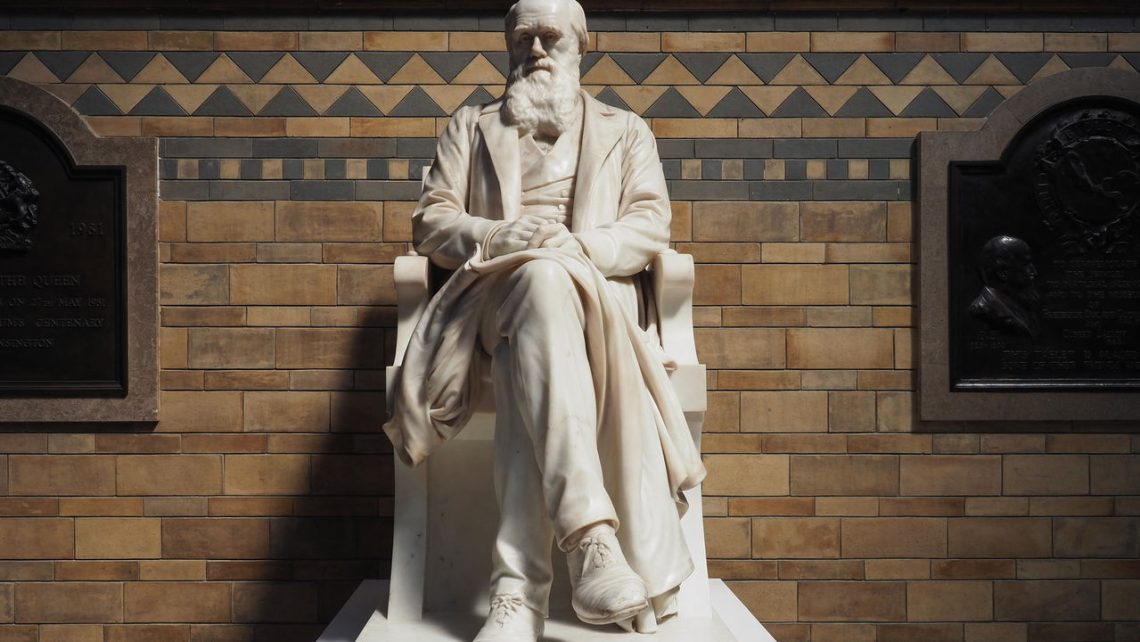 Livro de Charles Darwin e a fascinação pelas minhocas - Comentei!
